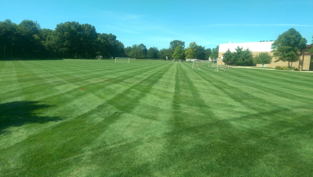 Photo Gallery - Perma Green Lawn Care